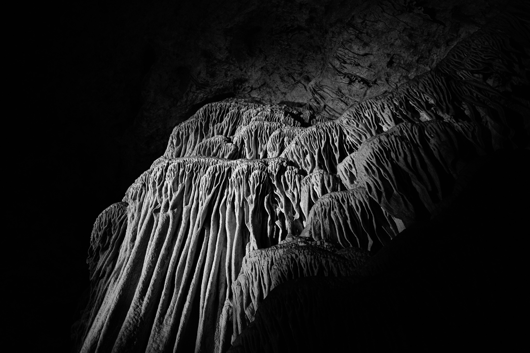 Carlsbad Caverns National Park – Graphic Naturalist