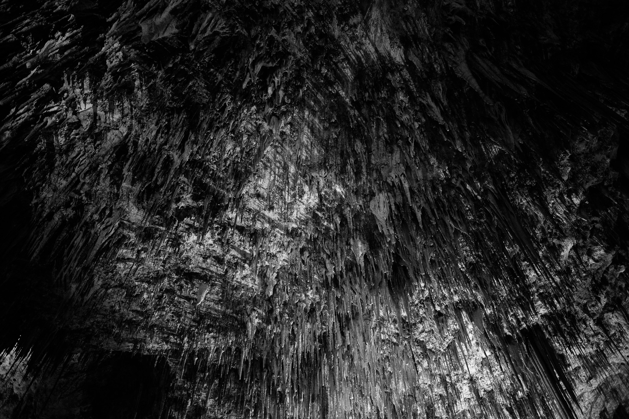 Carlsbad Caverns National Park – Graphic Naturalist