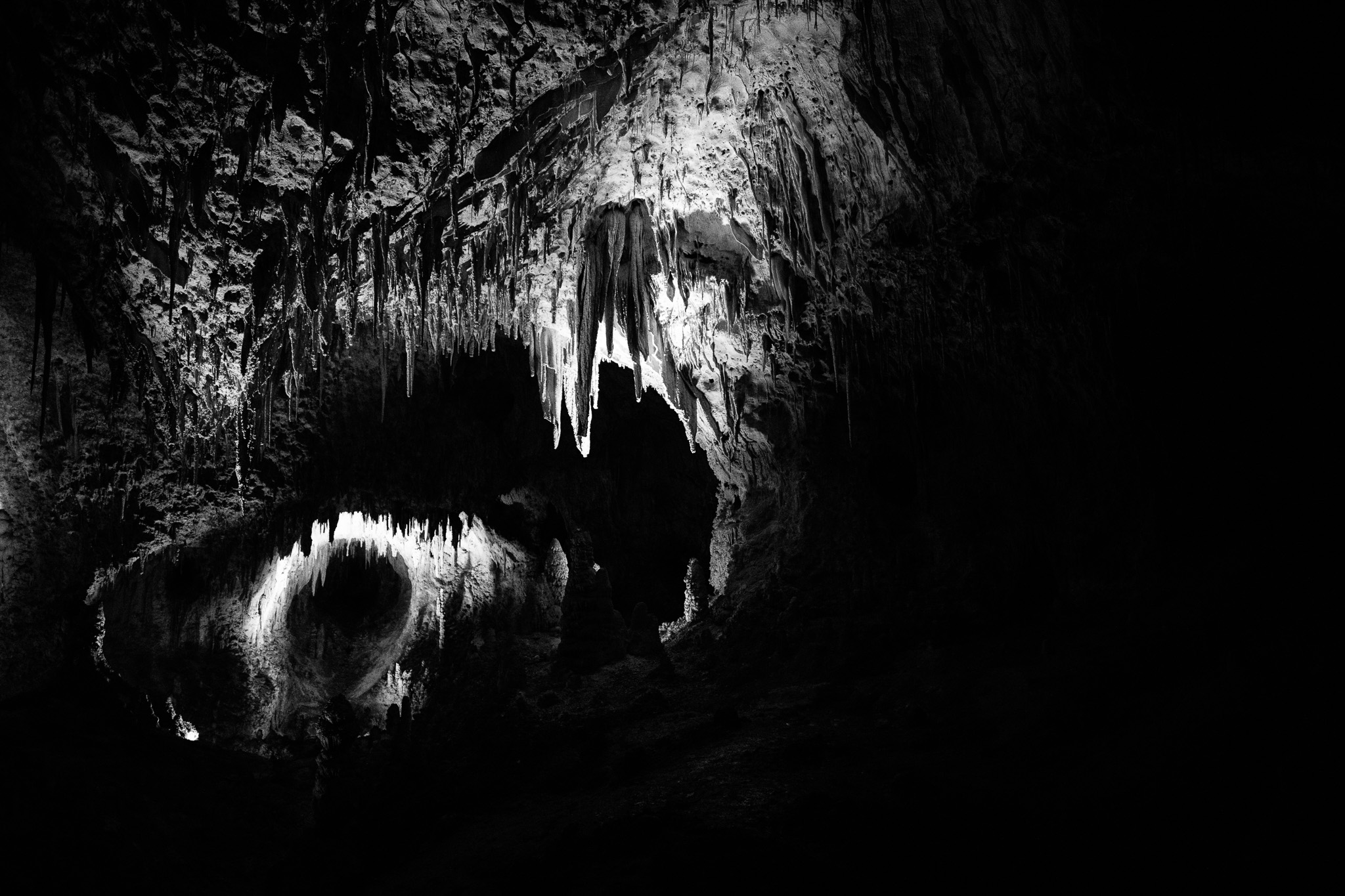 Carlsbad Caverns National Park – Graphic Naturalist