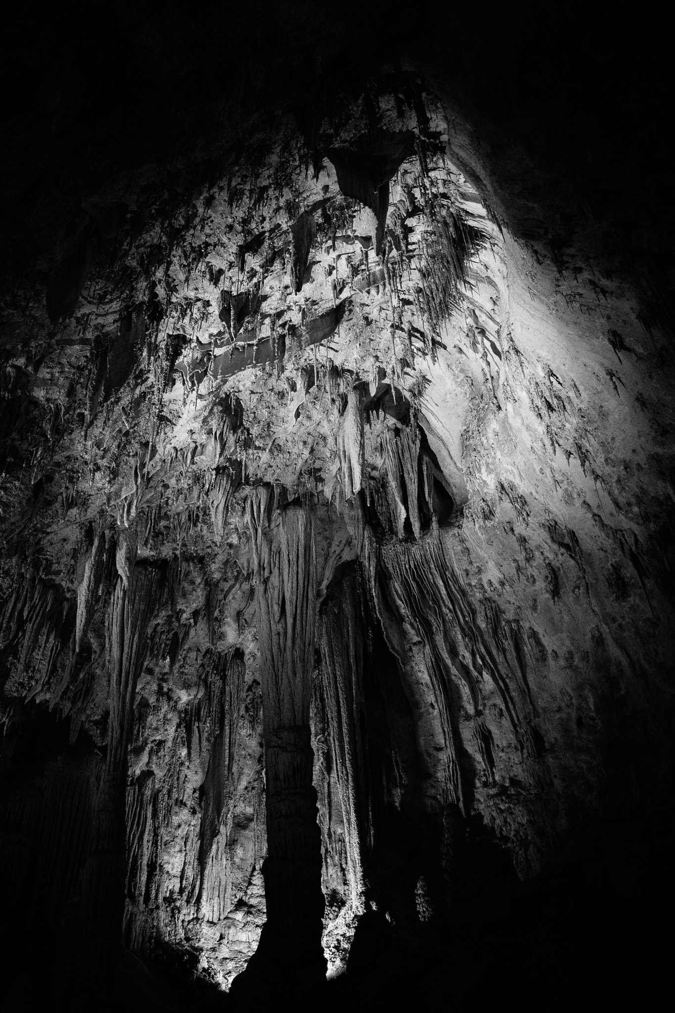 Carlsbad Caverns National Park – Graphic Naturalist