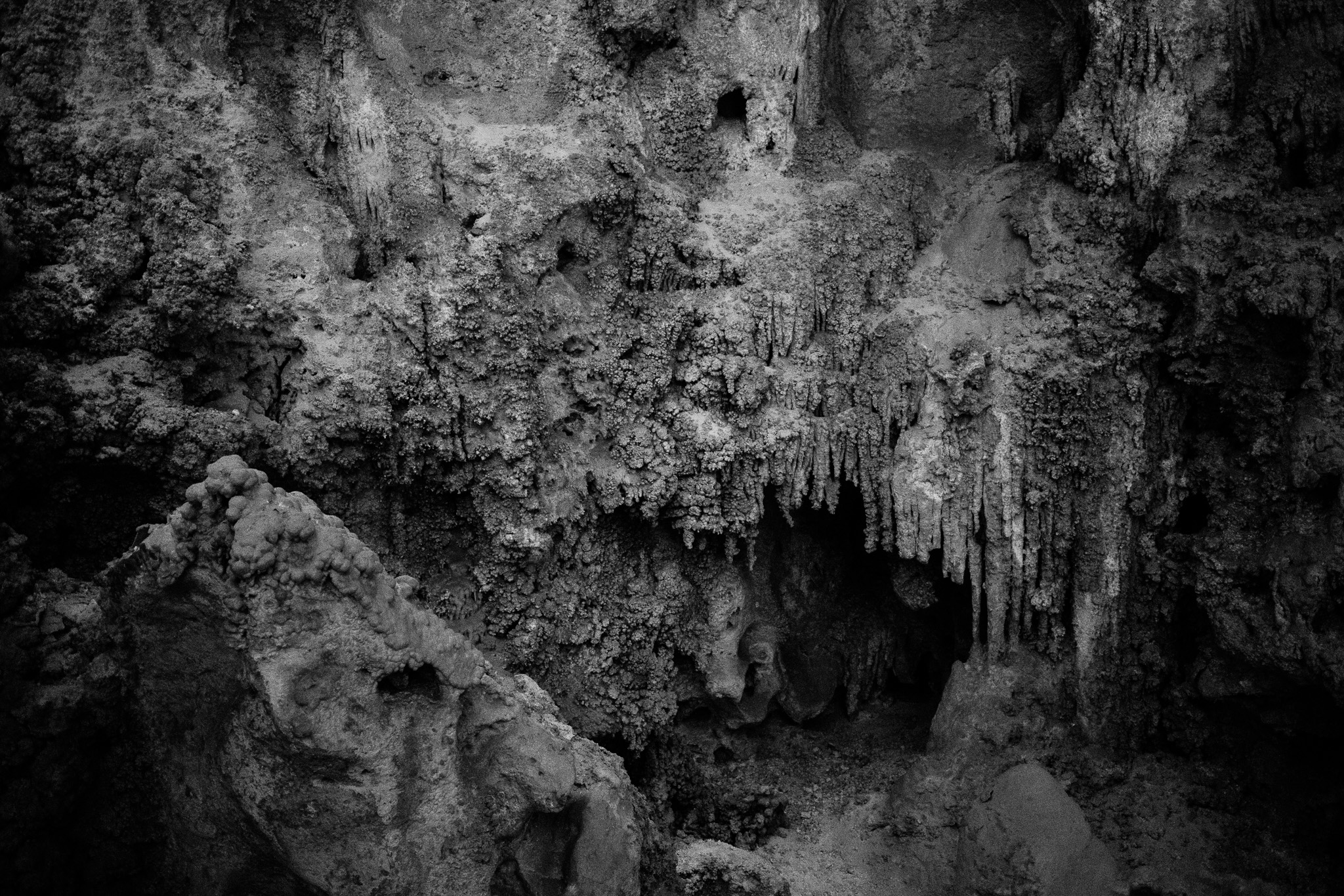 Carlsbad Caverns National Park – Graphic Naturalist