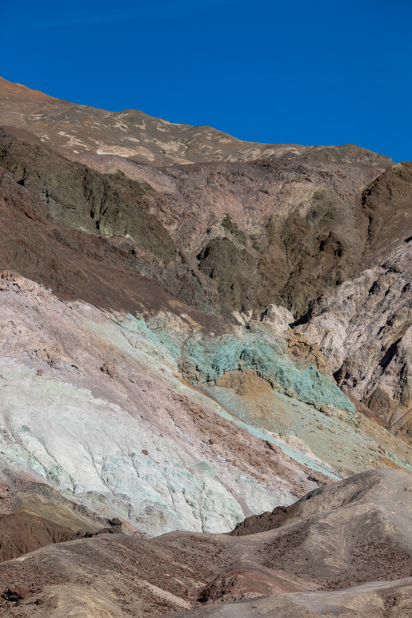 Death Valley National Park – Graphic Naturalist